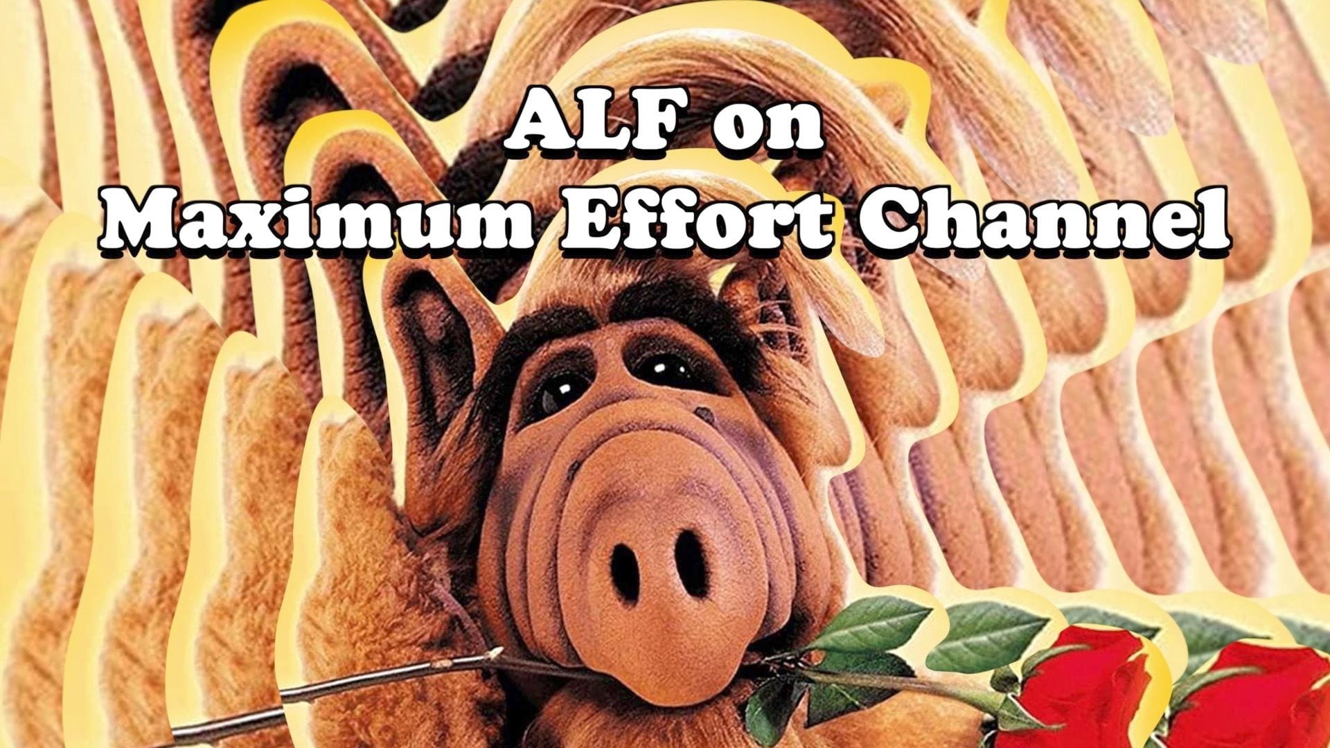 Alf Tv Show